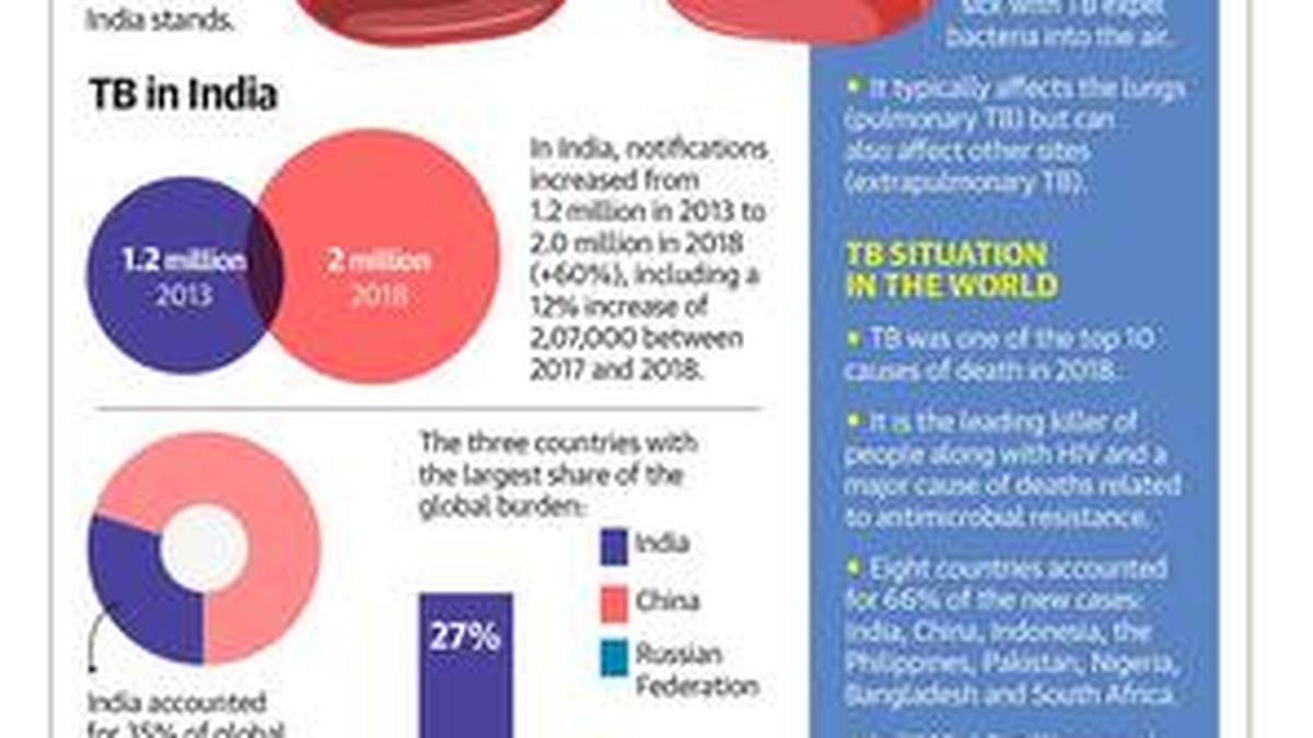 India accounts for 27% of the global TB burden: report - The Hindu