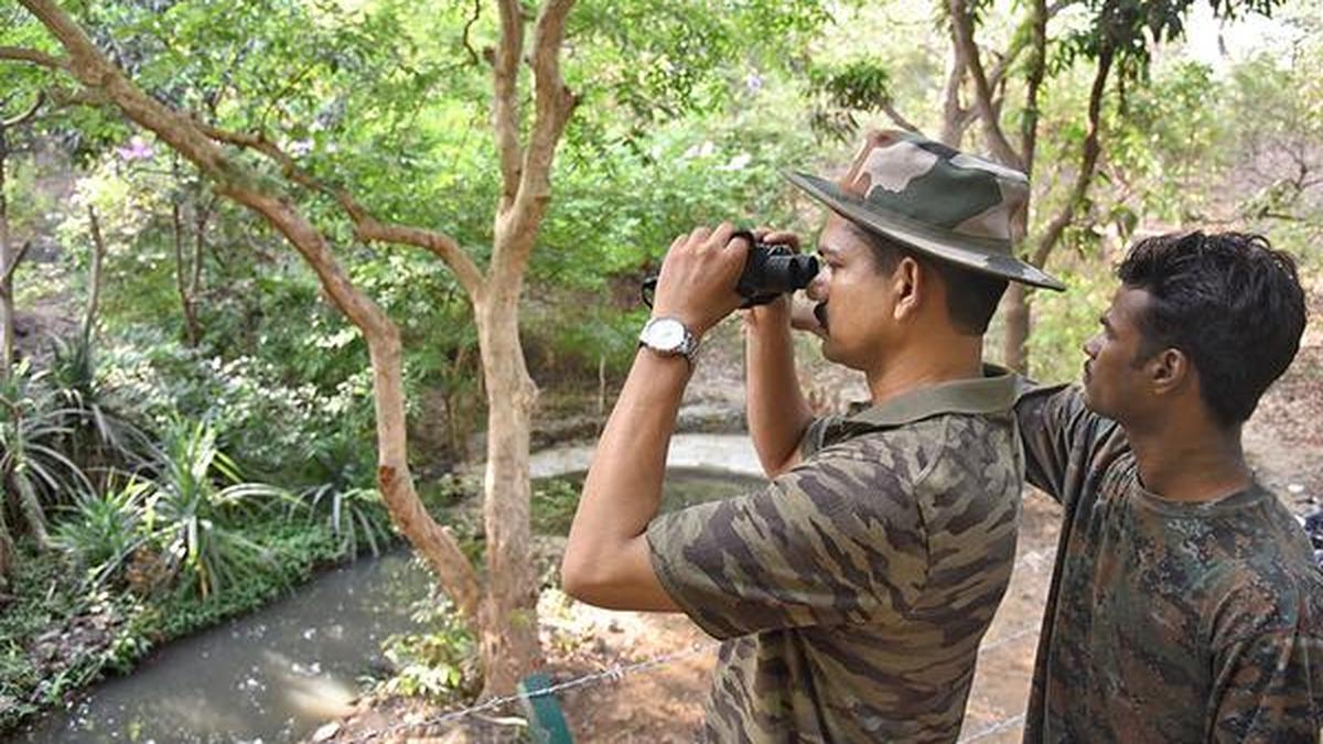 Tulsi, Yeoor watering holes most popular; rare animals spotted - The Hindu