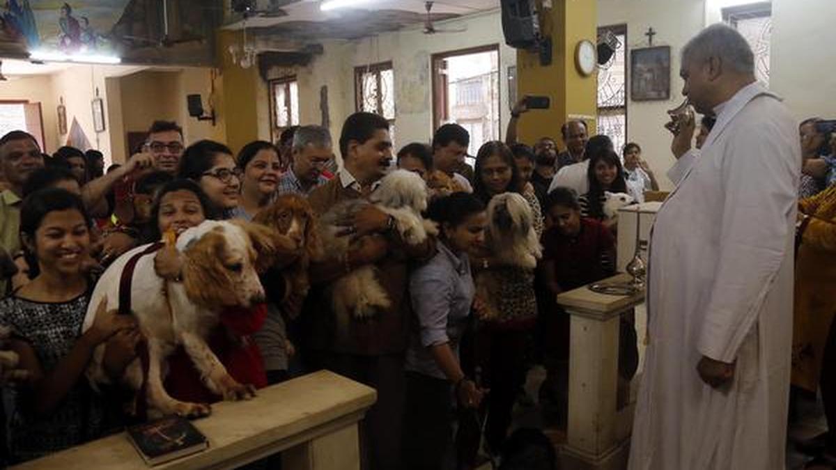 At this special church service in Mumbai, pets are the blessed - The Hindu