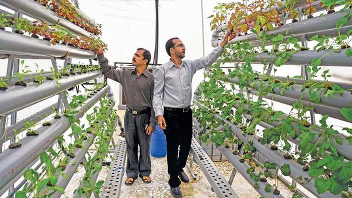 Farming without soil - The Hindu