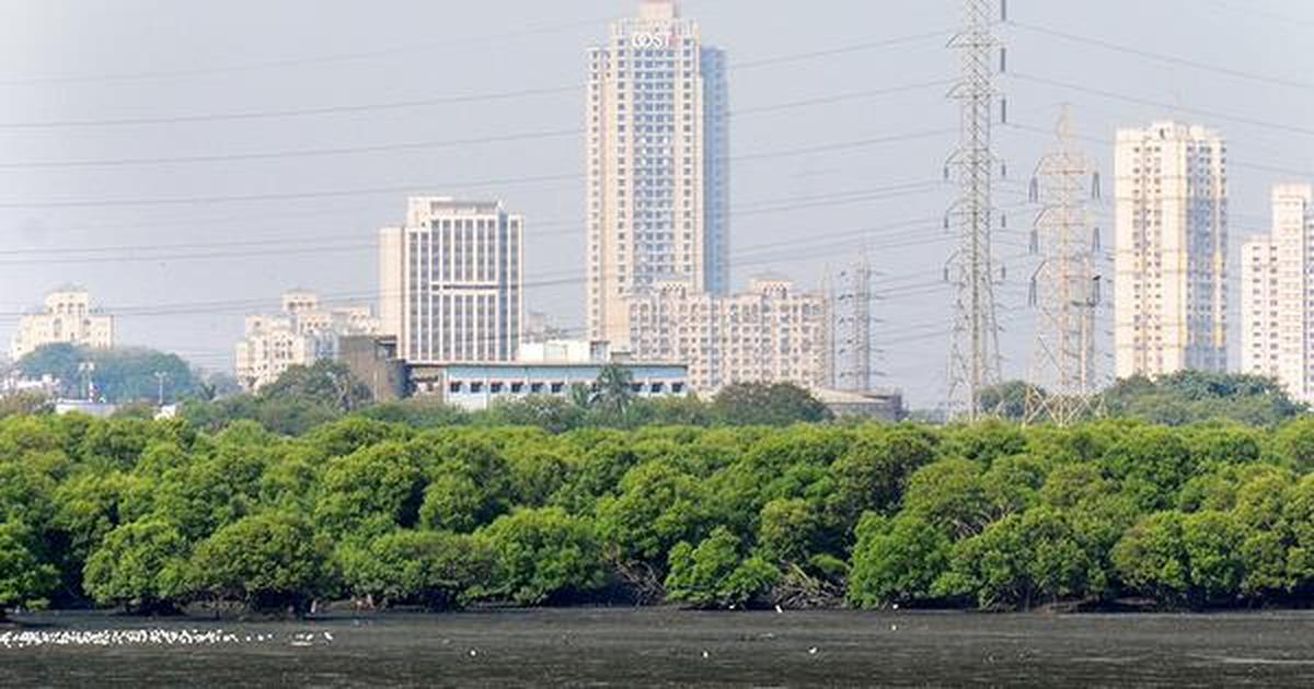 Mumbai maps its biodiversity - The Hindu