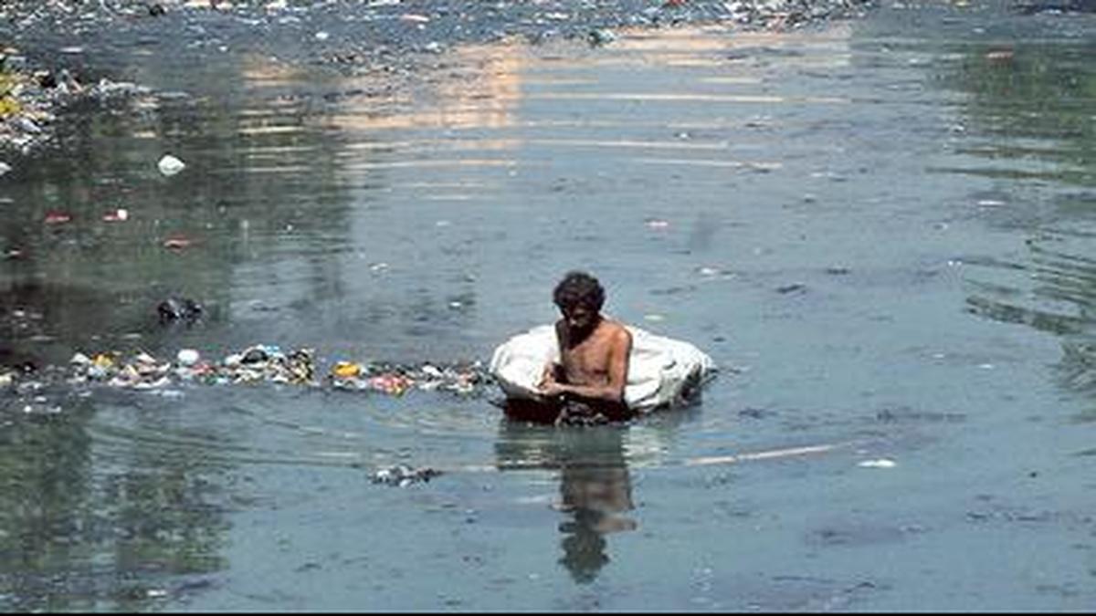 How the Mithi was destroyed - The Hindu