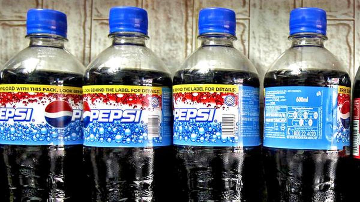 All PET recycled in State: PepsiCo India - The Hindu