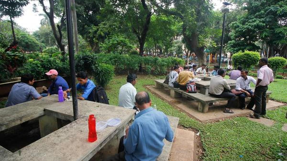 BMC contest to award best gardens in city - The Hindu