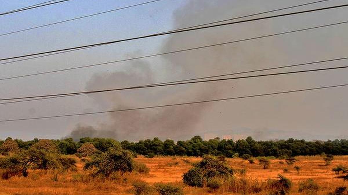 Now, fire breaks out in mangroves near Vikhroli - The Hindu