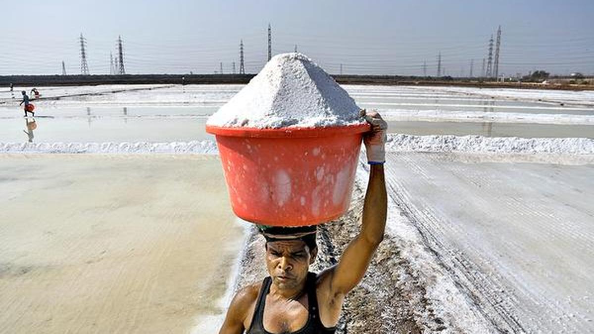IIT to conduct geological survey of salt pan land in Mumbai, suburbs ...