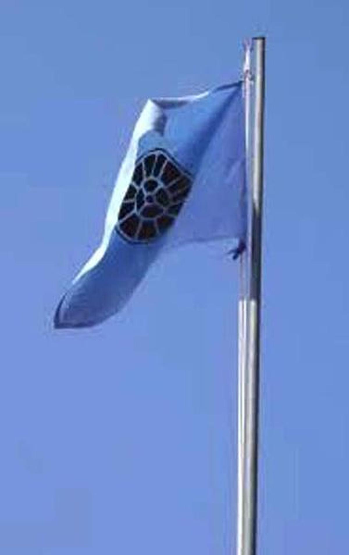 Sri Aurobindo Library hoists ‘spiritual flag’ - The Hindu