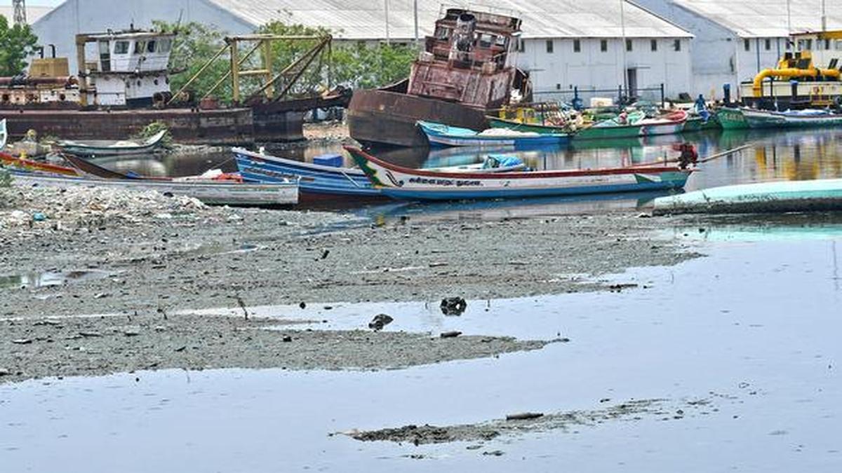 Polluted Thengaithittu lagoon an environmental hazard - The Hindu