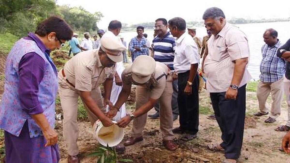 Saplings planted along Bahour lake - The Hindu