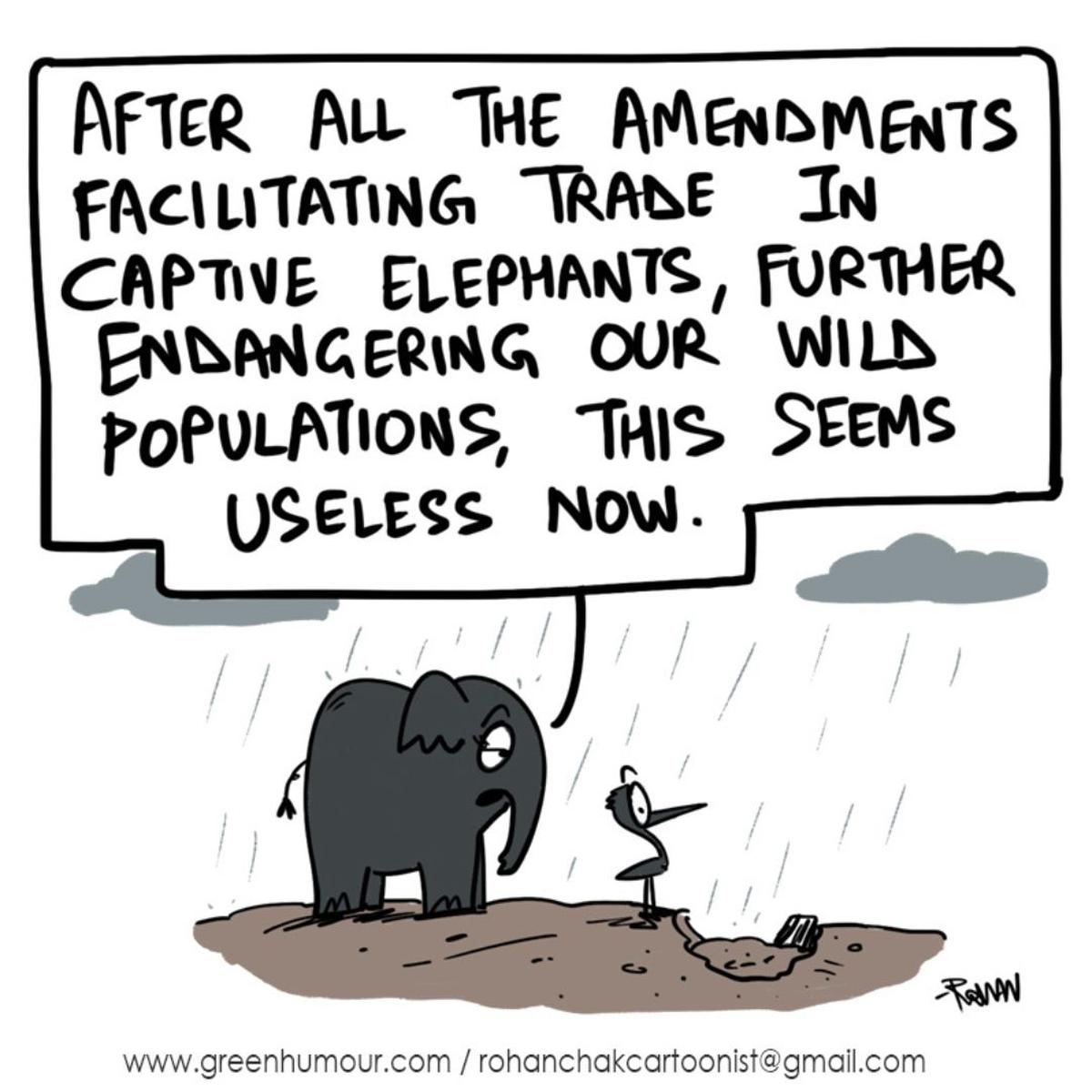 Green Humour by Rohan Chakravarty on elephant conservation - The Hindu