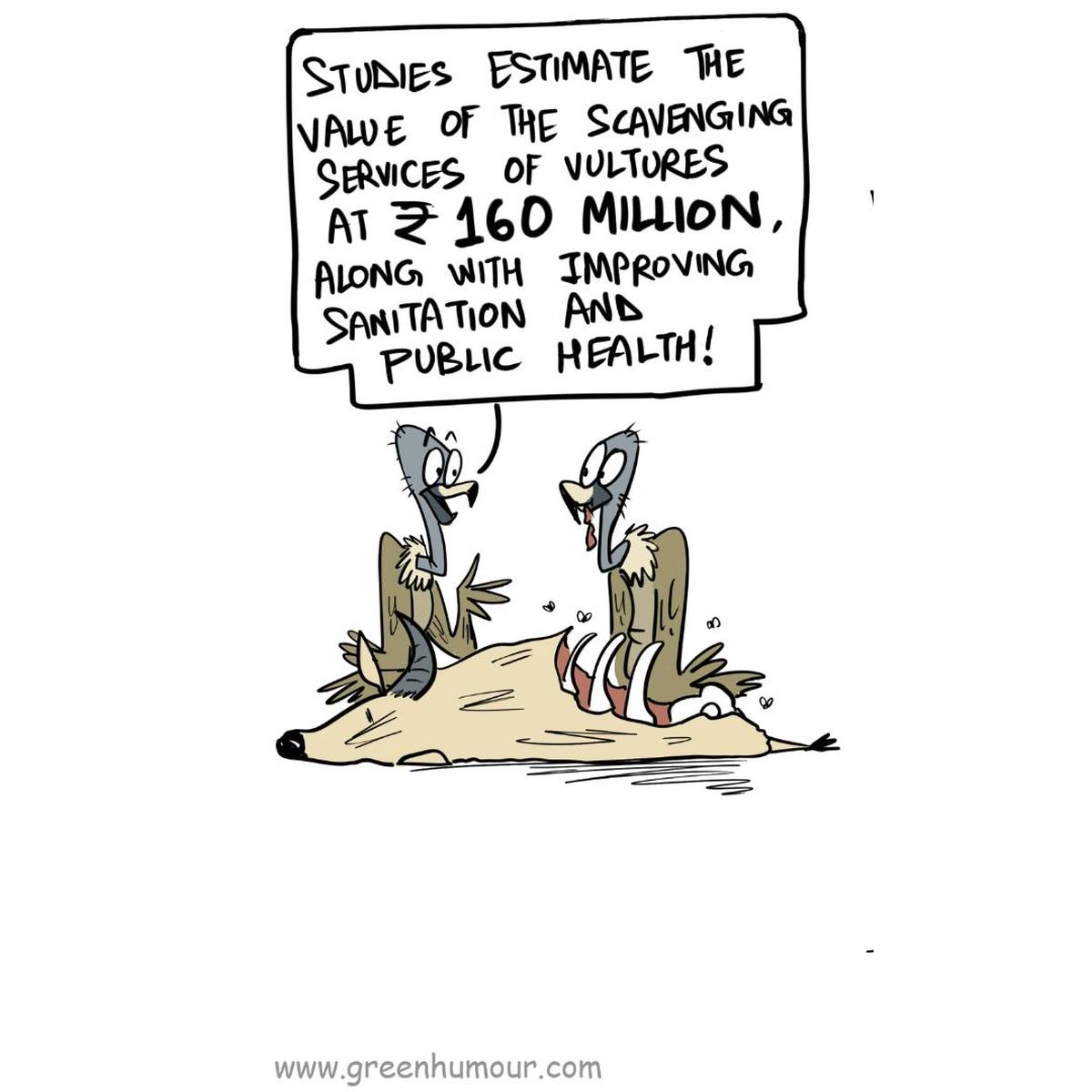 Green Humour by Rohan Chakravarty on vultures, nature’s clean-up crew ...