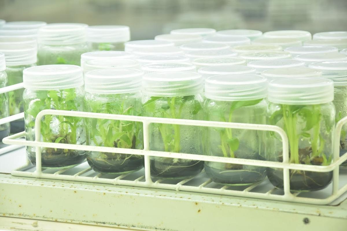 Centurion University of Technology and Management (CUTM) is Redefining ...