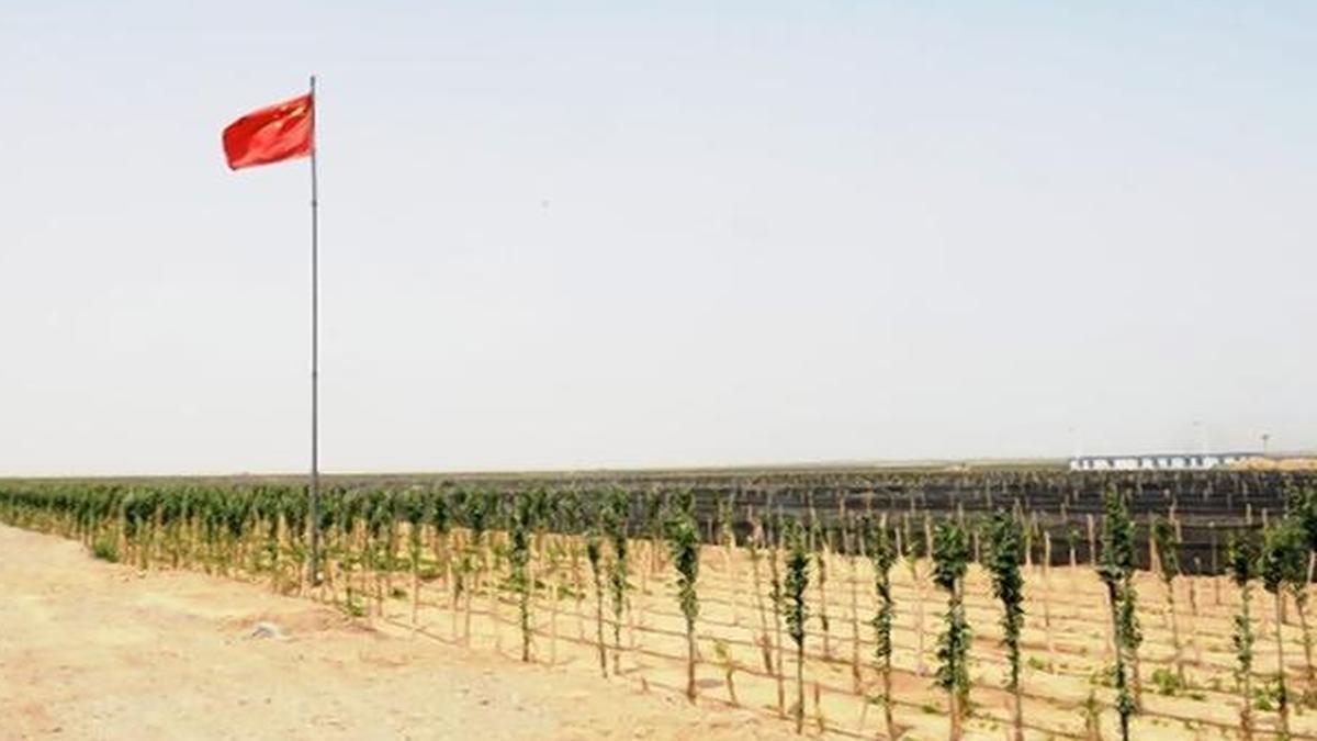 The inescapable revival of the Tarim basin - The Hindu