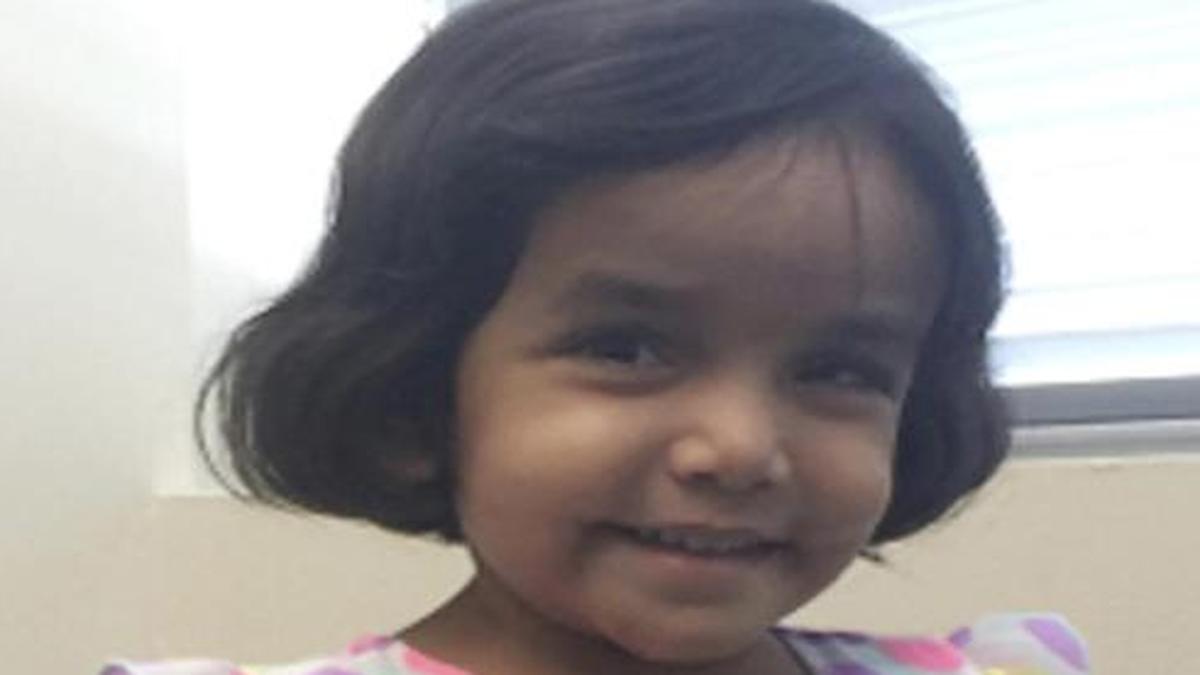 Indian-American adoptive father of Sherin Mathews denied new trial ...