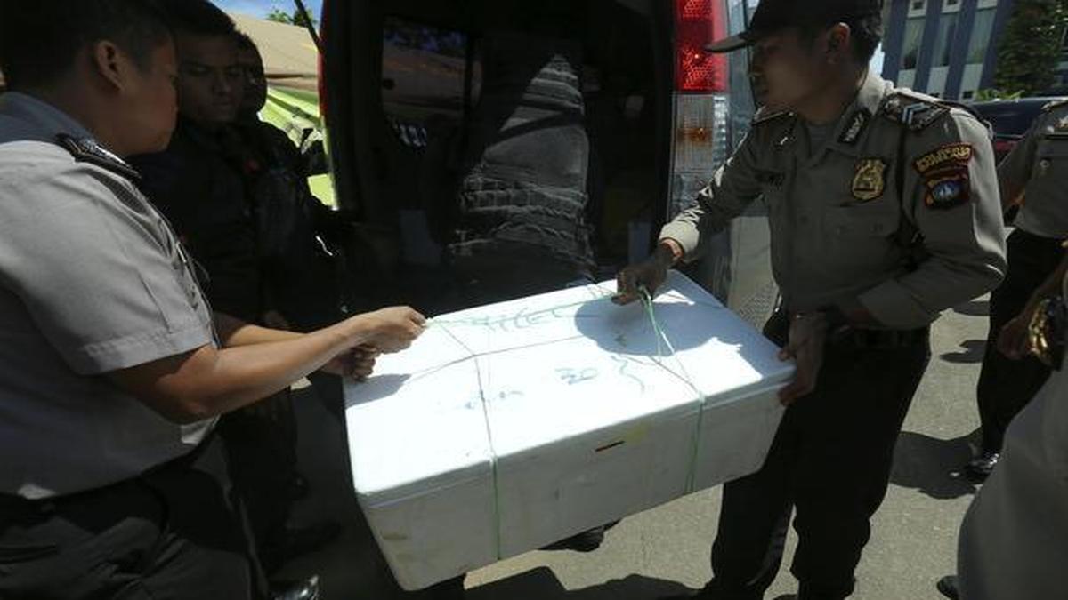 Body parts found in sea after Indonesian plane with 13 disappears - The ...