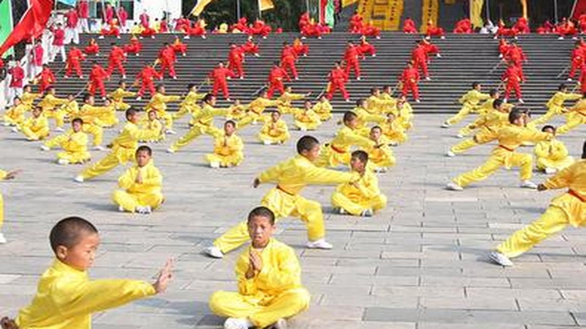 Brand Shaolin’s Indian genes - The Hindu