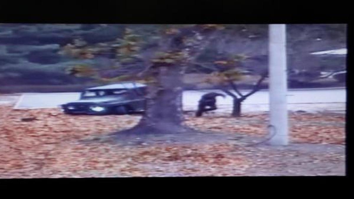 Dramatic video shows escape, shooting of North Korean defector - The Hindu
