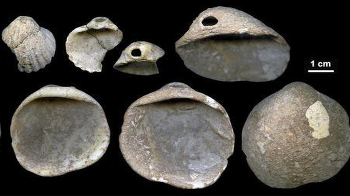 Primitive art: Neanderthals were Europe’s first painters - The Hindu