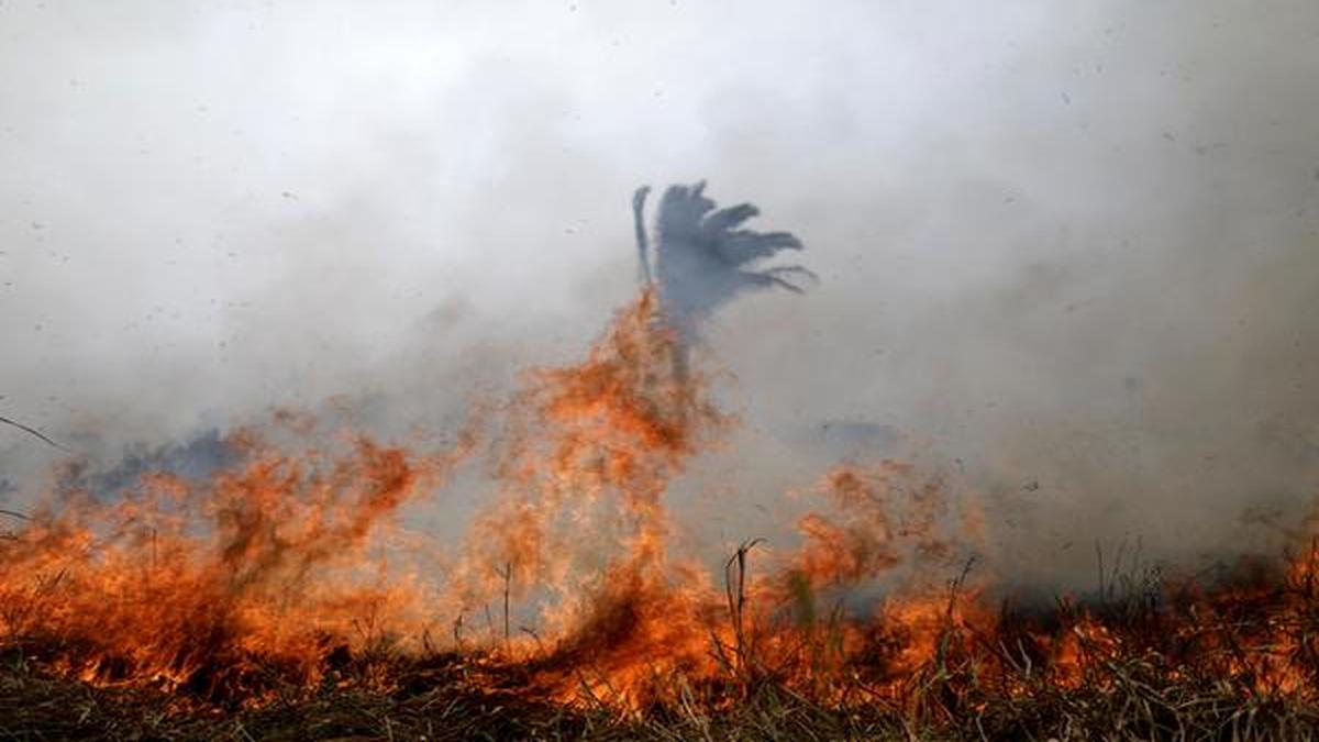 Amazon burning: Hundreds of new fires in Brazil as outrage grows - The ...