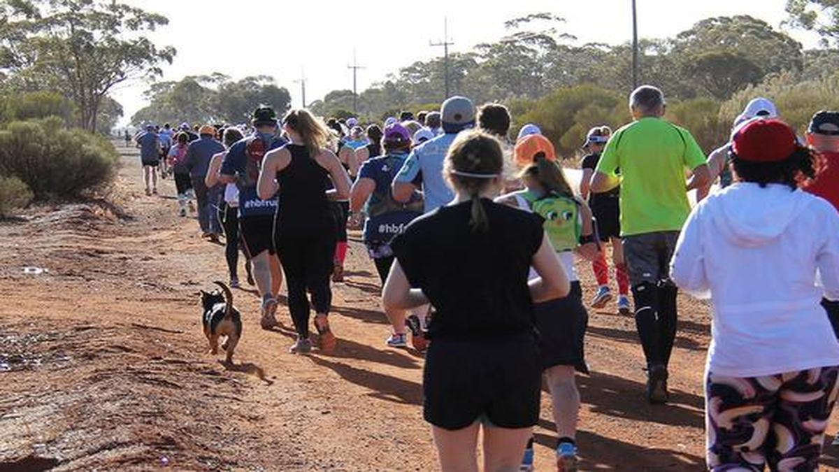 Dog finishes Australia half-marathon, wins medal - The Hindu