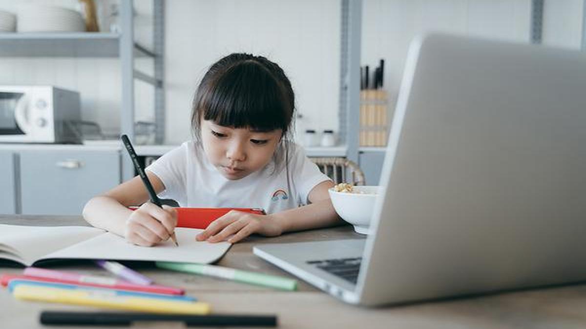 China passes law to cut homework pressure on students - The Hindu