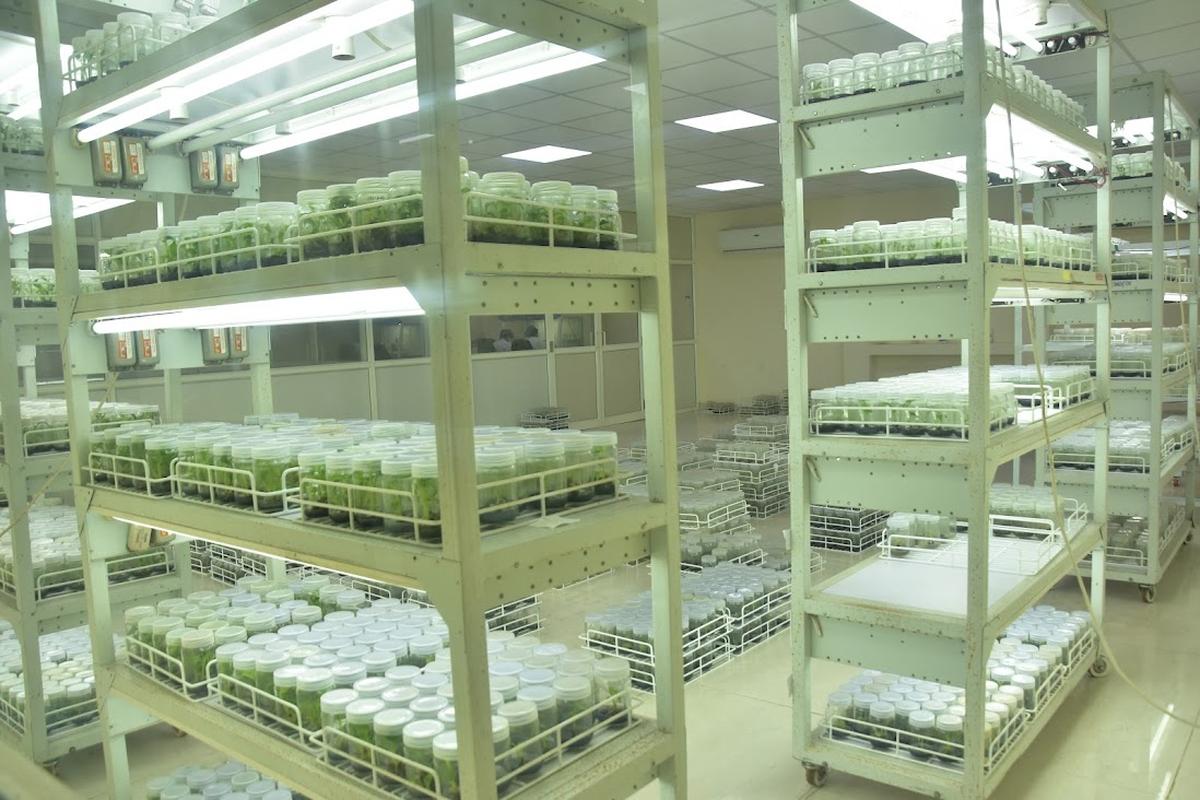 Centurion University of Technology and Management (CUTM) is Redefining ...