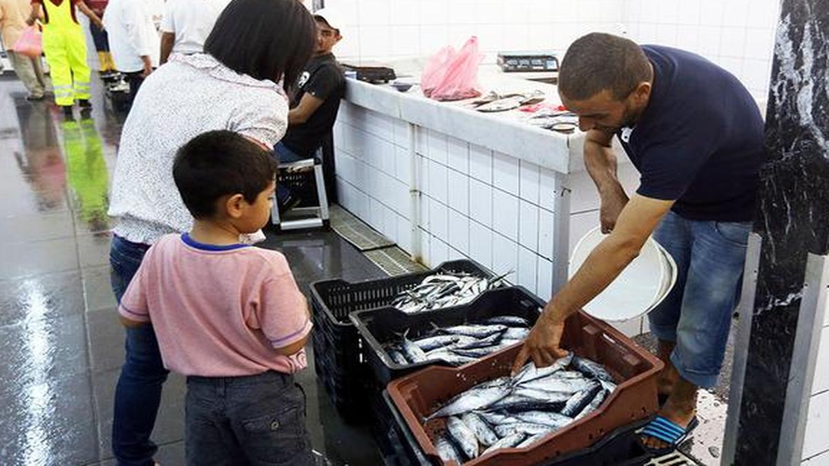 ‘Blast fishing’ thrives in Libya’s chaos - The Hindu