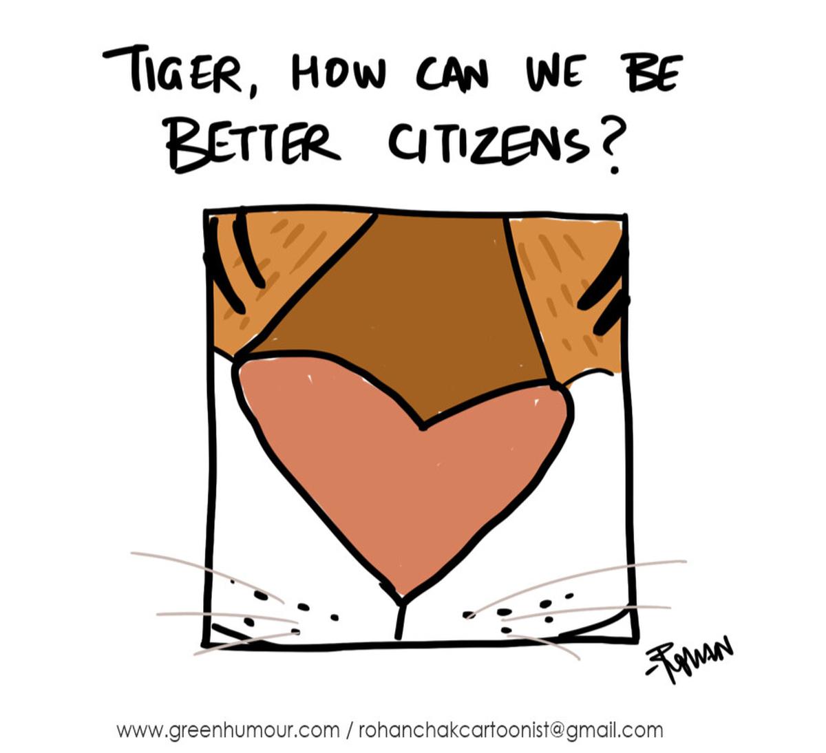 Green Humour by Rohan Chakravarty on International Tiger day - The Hindu