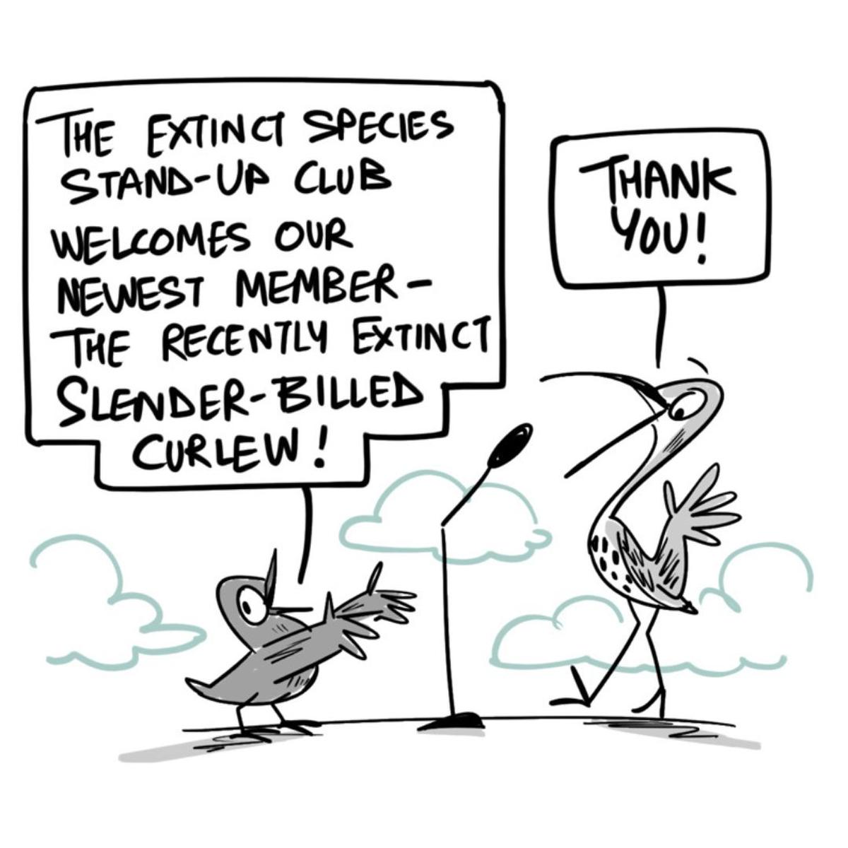 Green Humour by Rohan Chakravarty on the recently extinct slender ...