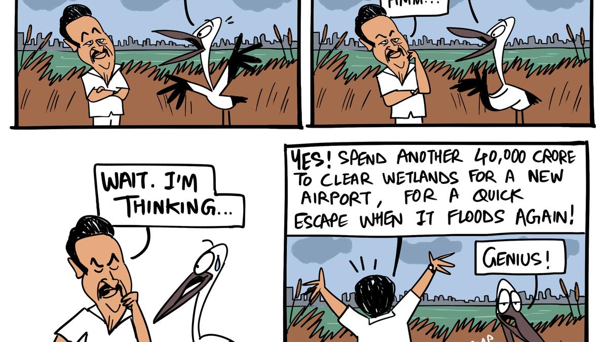 Green Humour by Rohan Chakravarty on Chennai flood - The Hindu