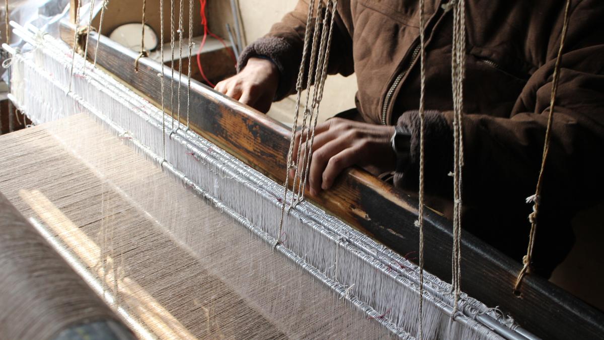 Pashmina shawls have Shahtoosh guard hair, say Customs officials; all ...