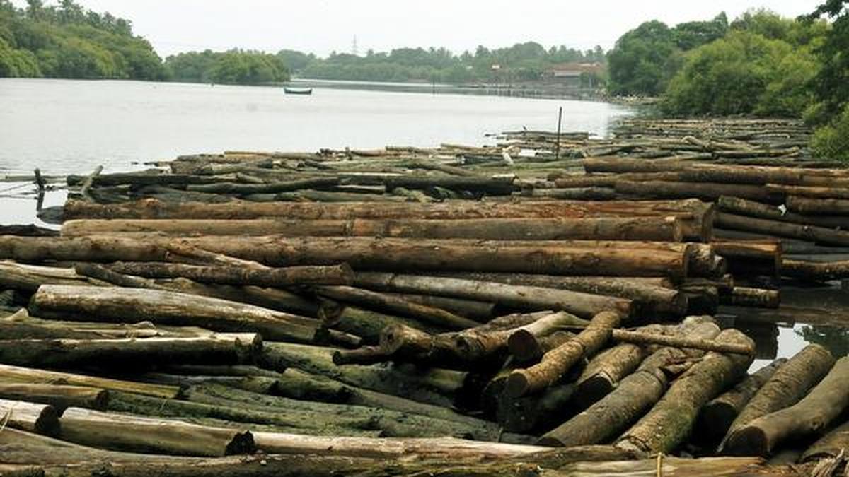 Research suggesting fillip to domestic timber production makes strong ...