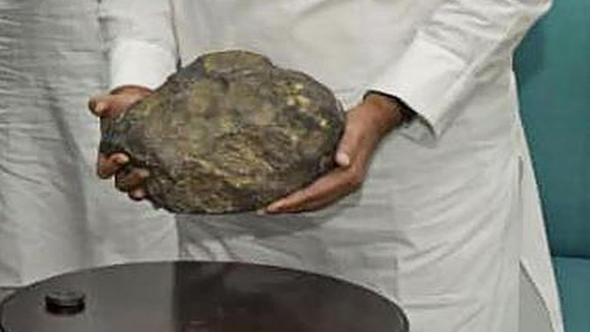 Suspected meteorite found in Bihar - The Hindu