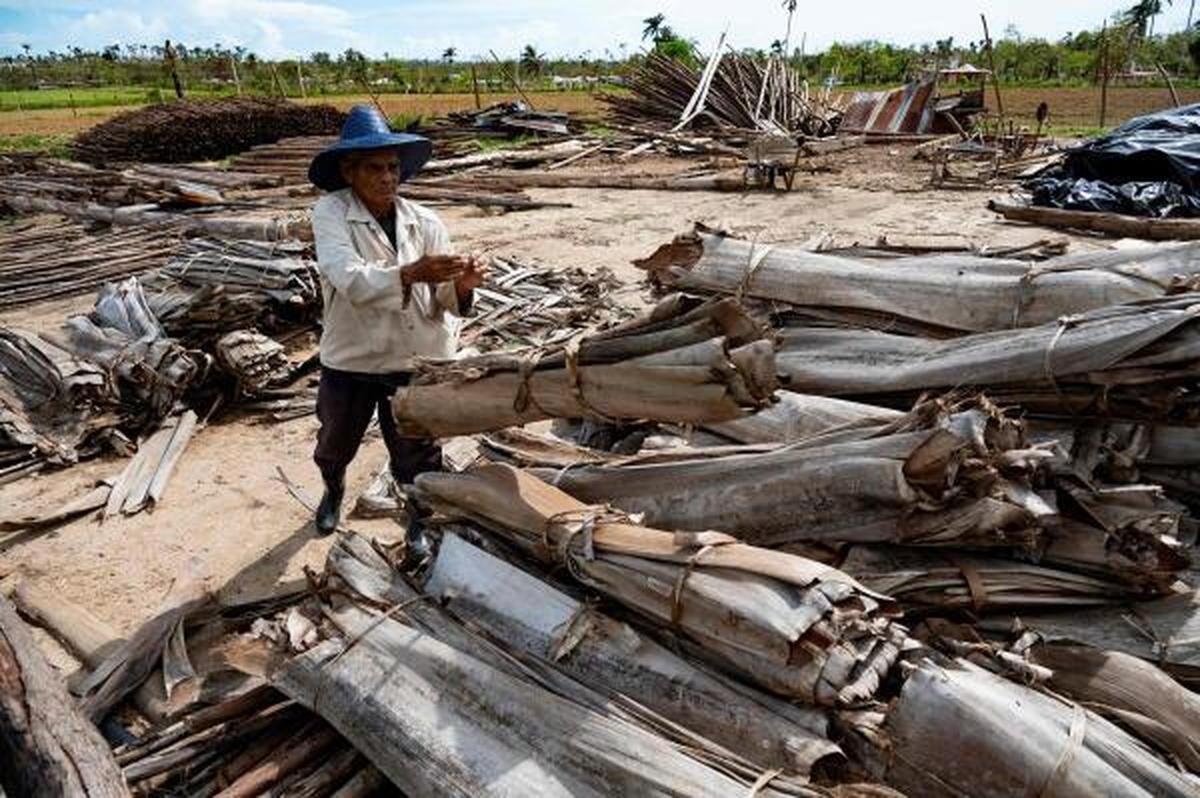 Droughts, rising sea levels, Cuba's agriculture under threat - The Hindu
