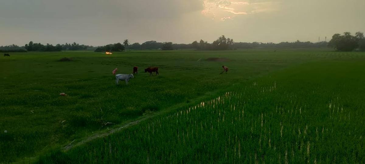 The controversy over land acquisition by the SIPCOT near Cheyyar in ...