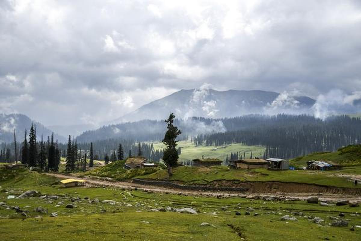 Kashmir’s Tosa Maidan: No guns, only roses - The Hindu