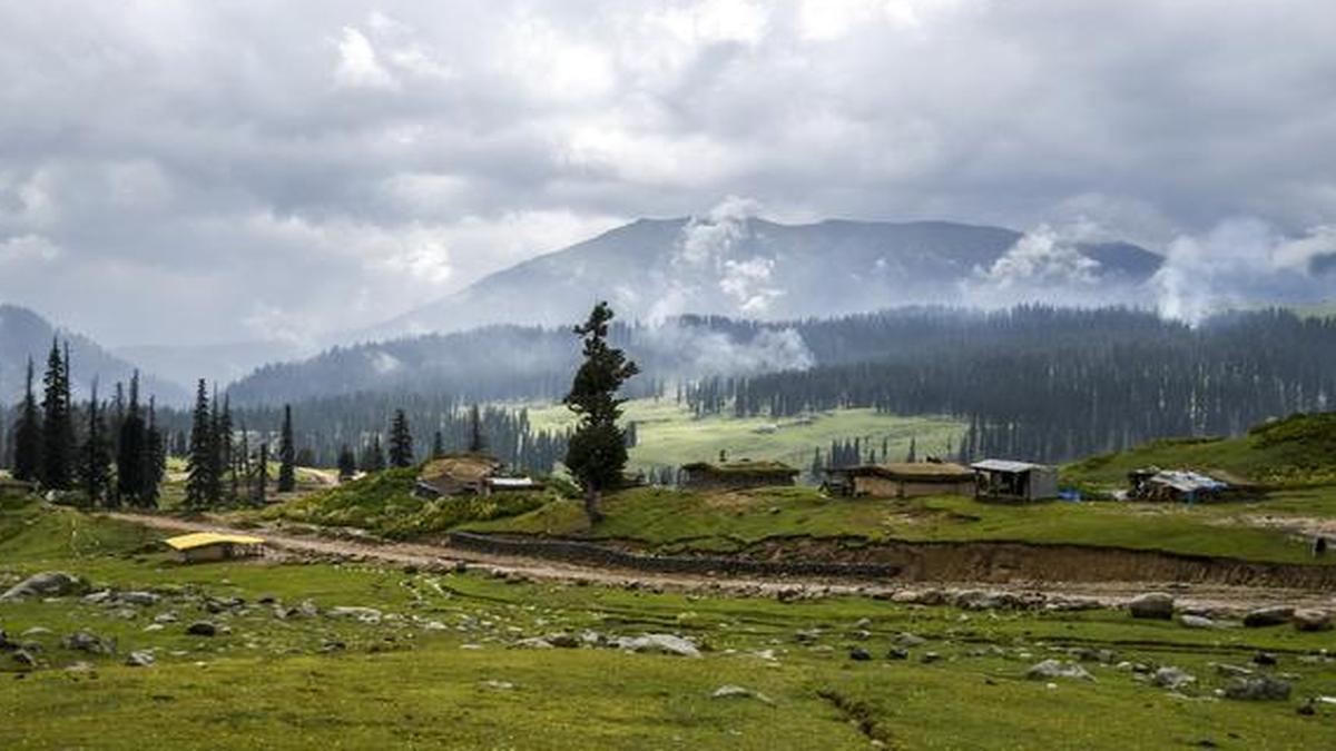 Kashmir’s Tosa Maidan: No guns, only roses - The Hindu