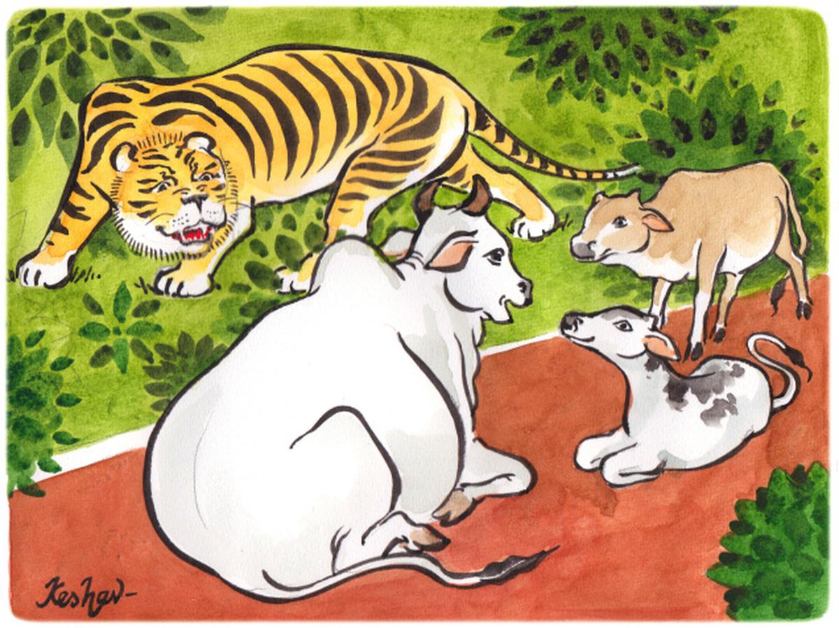 Tigers must be punished for eating cows like humans, says Goa MLA - The ...