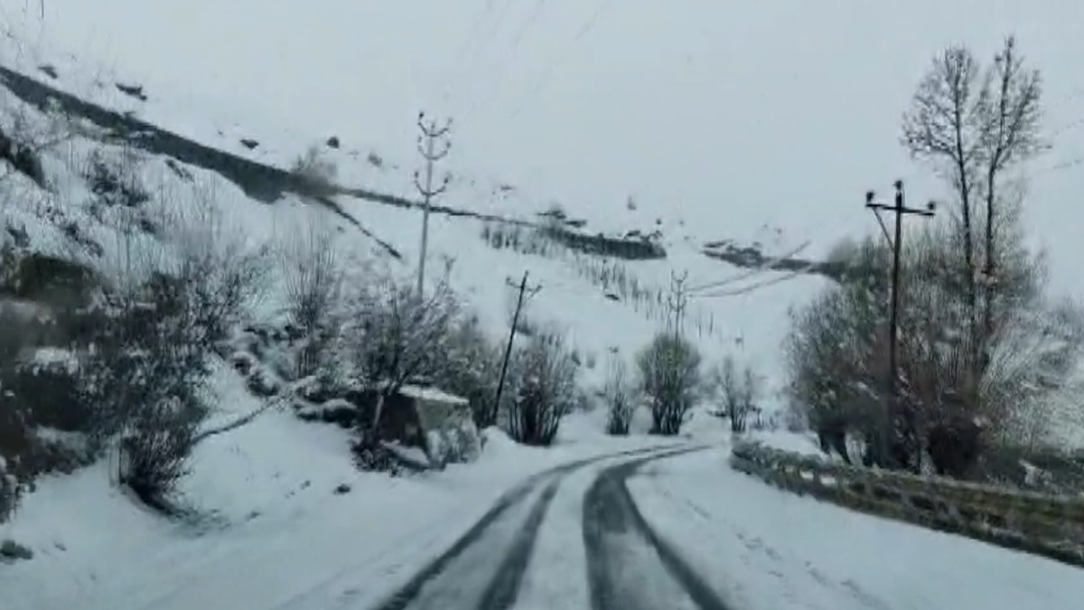 Ladakh’s Kargil receives fresh spell of snowfall - The Hindu