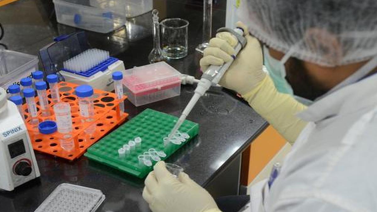 Zydus Cadila files investigational new drug application for COVID-19 ...