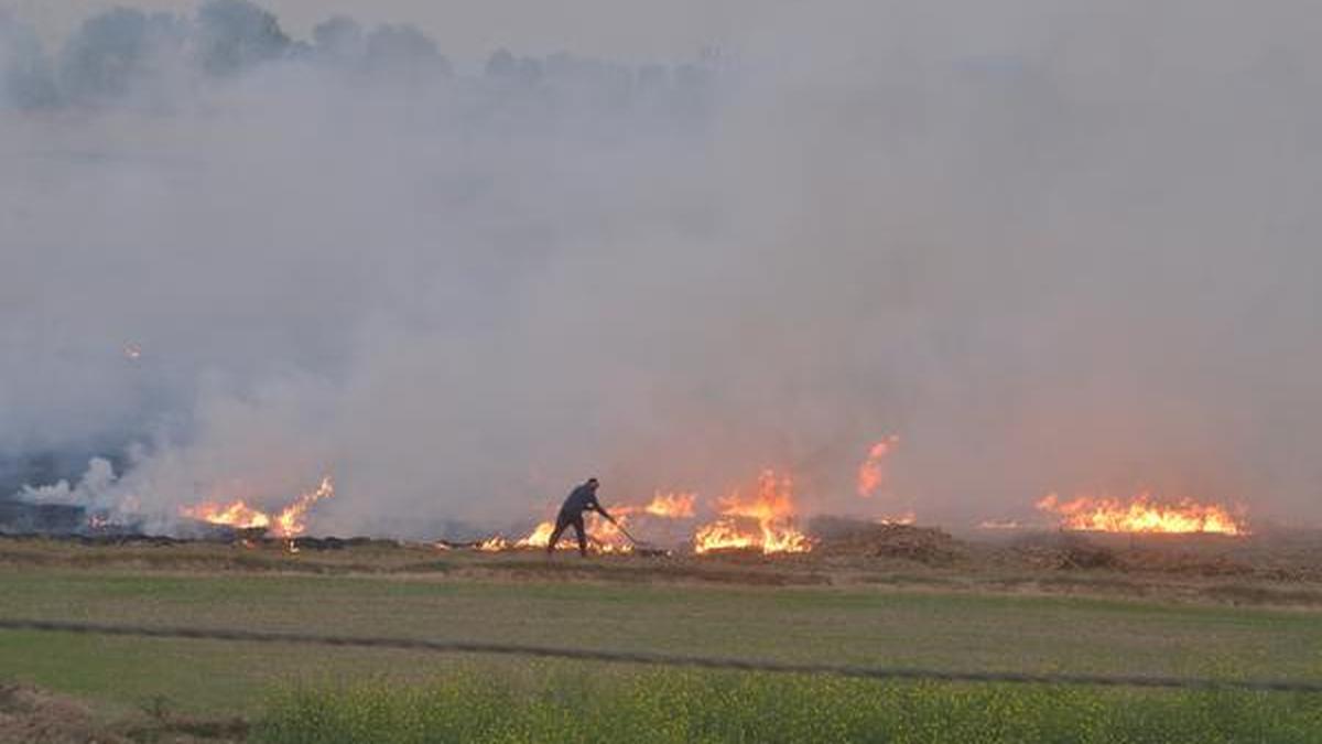 Stubble burning: Central commission directs 11 thermal plants around ...