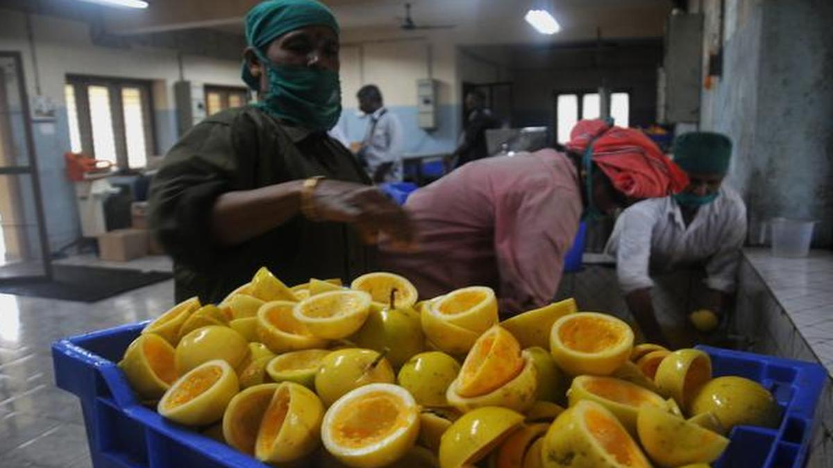 India gets $463.44 million FDI in food processing in Apr-Sep FY20: Govt ...