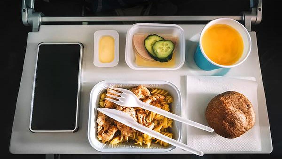 Food service on short flights can resume: Health Ministry - The Hindu