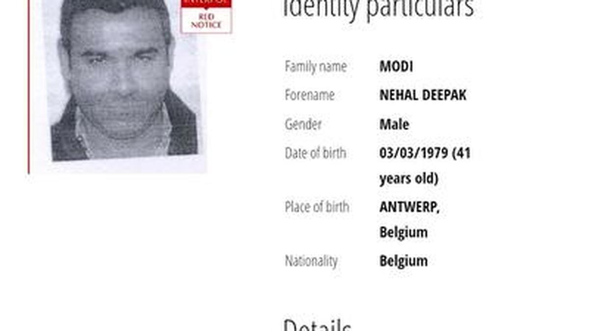 Nehal Modi’s profile back on Interpol site - The Hindu