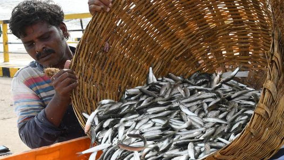 MPEDA plans to boost exports - The Hindu