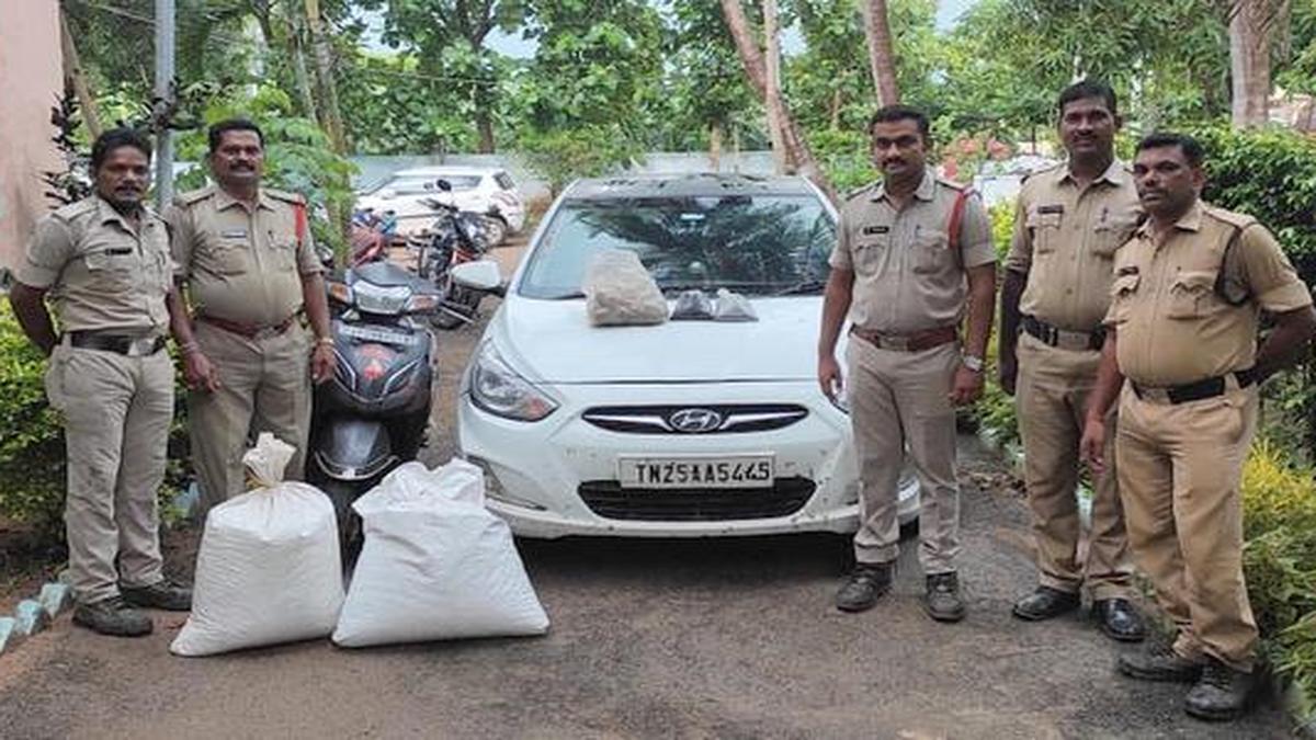 3 kg hashish oil seized, three students arrested - The Hindu