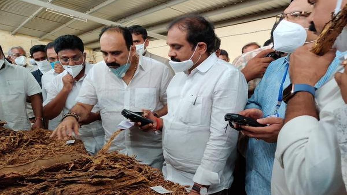 Markfed enters tobacco market to stabilise prices - The Hindu