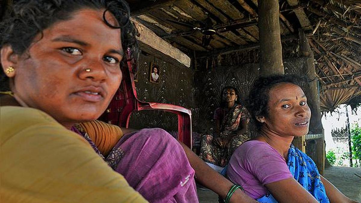 A losing battle against the mighty Polavaram - The Hindu