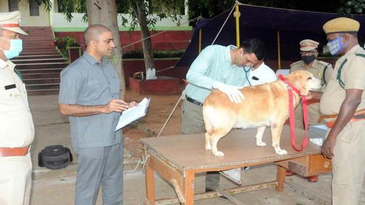Intelligence wing inspects dog squad in Visakhapatnam - The Hindu