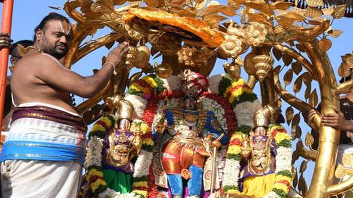 Kalpa Vruksha Vahanam at Mangapuram enthrall devotees - The Hindu